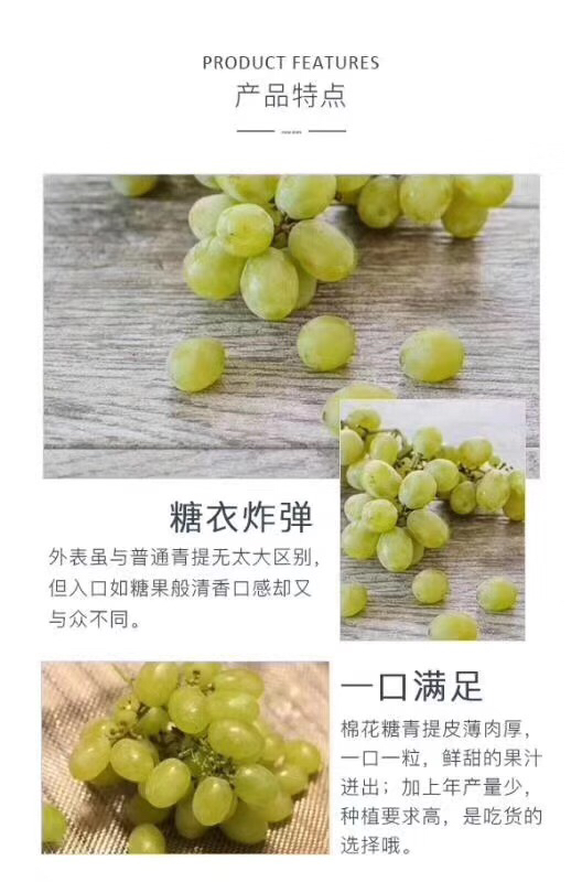 智利空运 棉花糖青提优选无籽青提打开盒就是甜甜的清香果肉饱满果香味浓带有一股棉花糖的味道齿间留香颠覆味蕾 K果之王