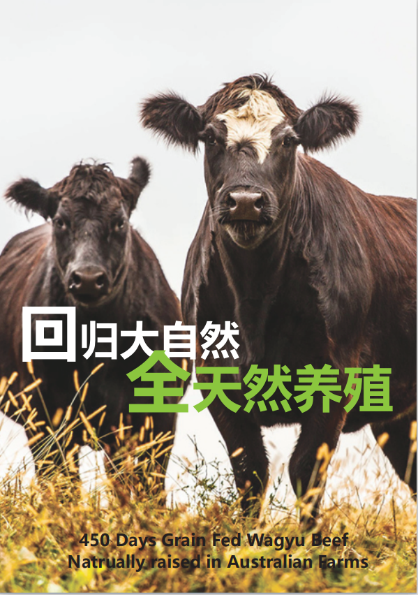 Jason Beef臻选和牛牛小排M7 500g - Jason Beef 臻选和牛体验店
