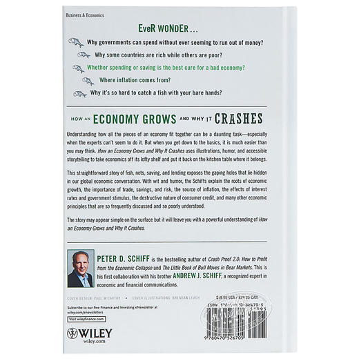 【中商原版】小岛经济学 英文原版 How an Economy Grows and Why It Crashes - 中商进口商城
