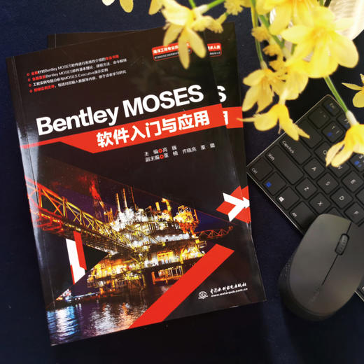 Bentley MOSES软件入门与应用 - 文轩九月图书旗舰店