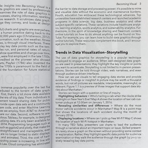 【中商原版】数据可视化让一切变得简单：洞察可视化 英文原版 Data Visualization Made Simple: Insights ...