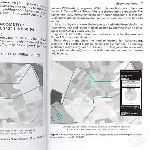 【中商原版】数据可视化让一切变得简单：洞察可视化 英文原版 Data Visualization Made Simple: Insights ...