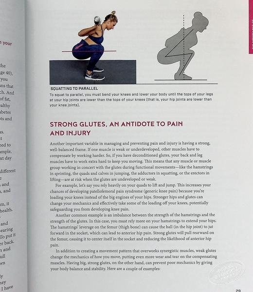 【中商原版】臀肌实验室 Glute Lab The Art and Science of Strength and Physique ...