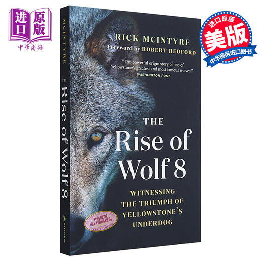 【中商原版】The Rise of Wolf 8 Witnessing the Triumph of Yellowstones ...
