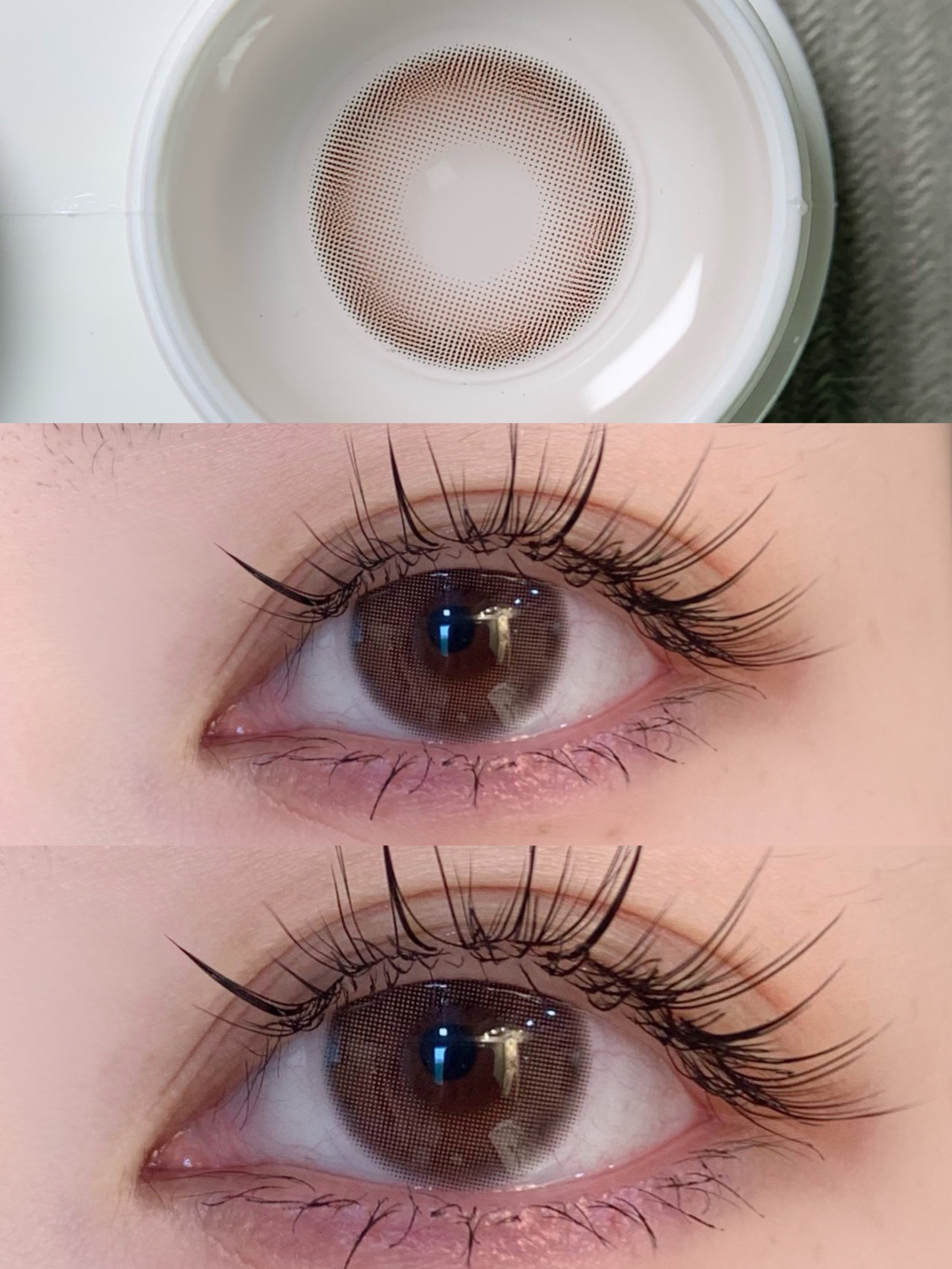 LVYCON纯欲粉棕（佩戴直径：14.2mm） - 麻生瞳学
