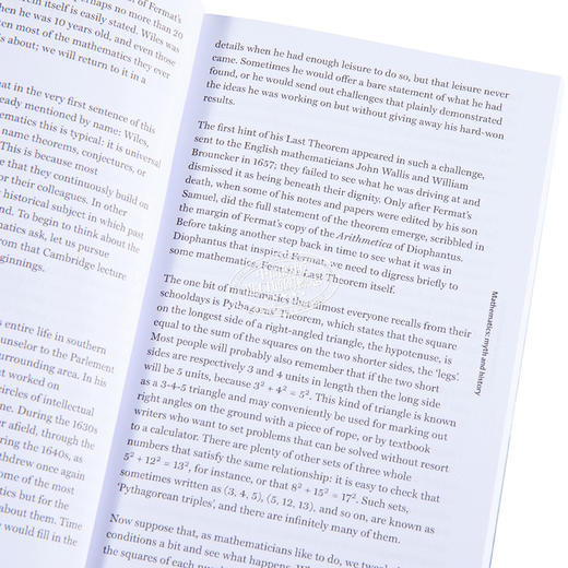 预售 【中商原版】The History of Mathematics: A Very Short Introduction 英文原版 牛津通 ...