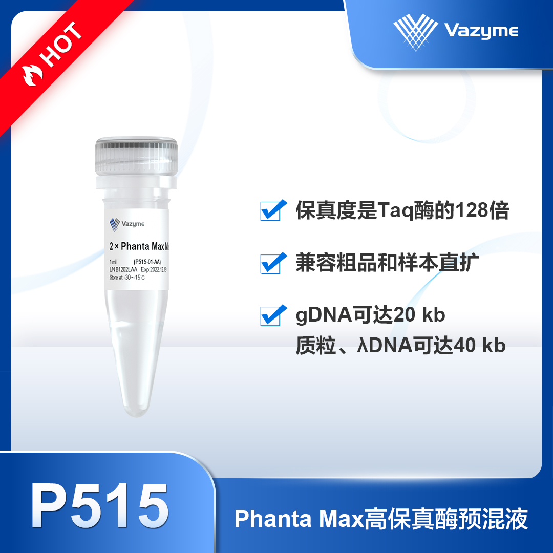 2 × Phanta Max Master Mix - 诺唯赞