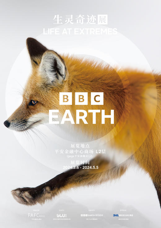 LIFE AT EXTREMES生灵奇迹——BBC Earth主题影像全球首展 - 深圳看展