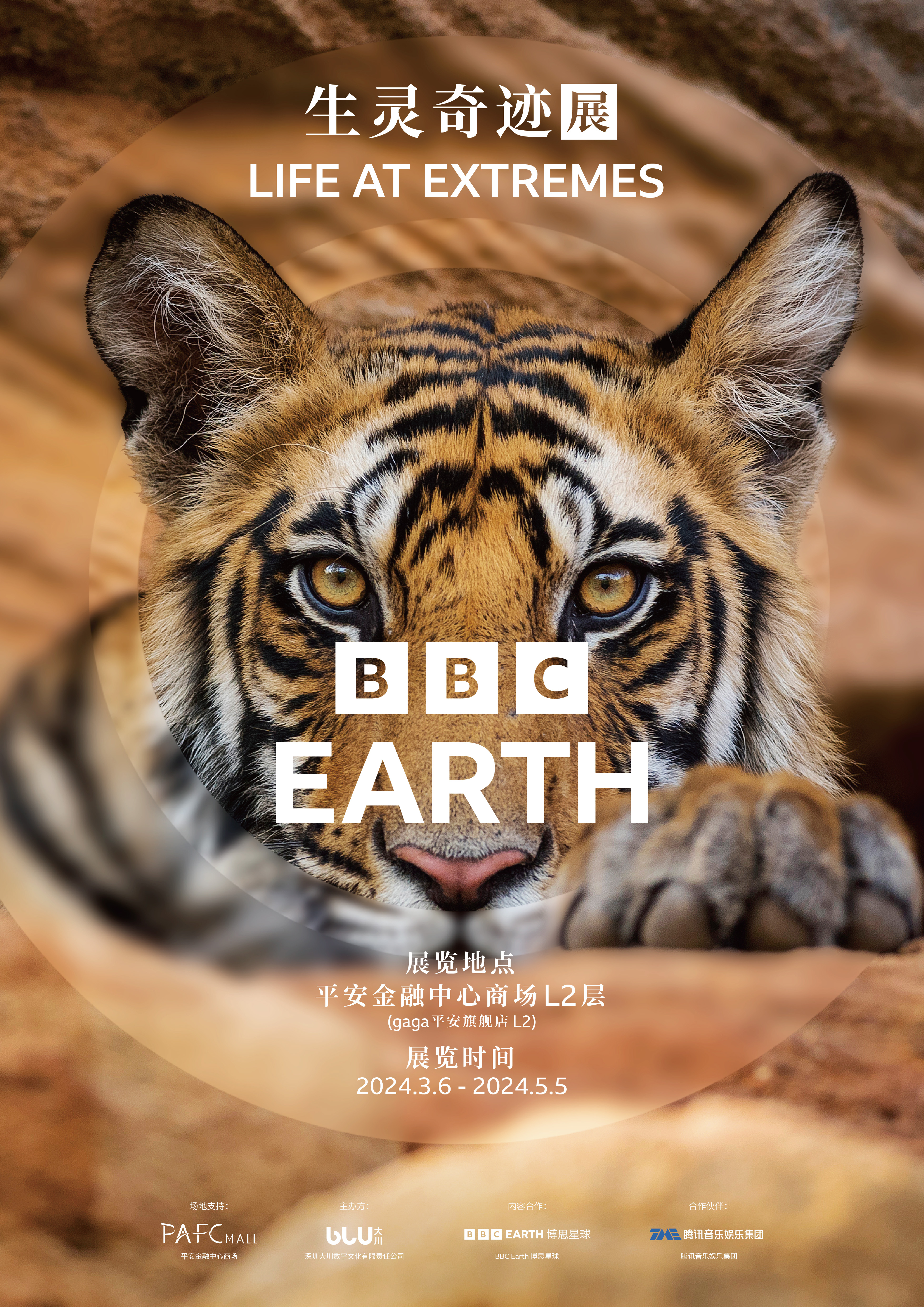 LIFE AT EXTREMES生灵奇迹——BBC Earth主题影像全球首展 - 深圳看展