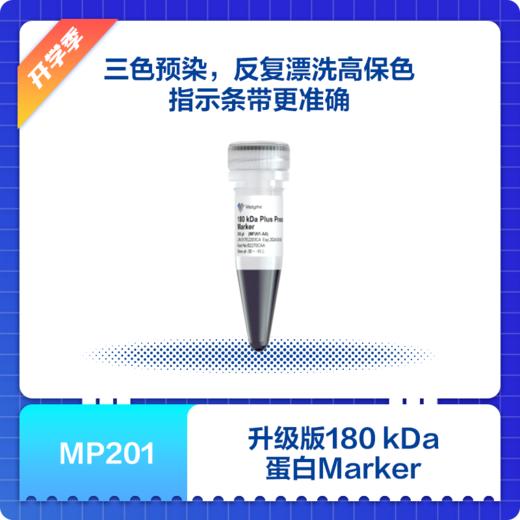 180 kDa Plus Prestained Protein Marker - 诺唯赞