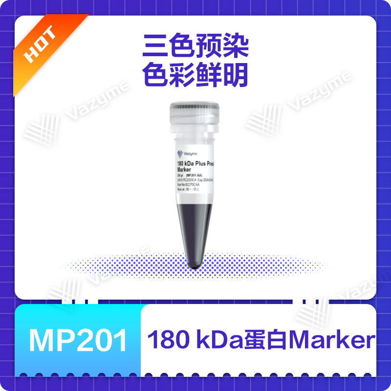 180 kDa Plus Prestained Protein Marker - 诺唯赞