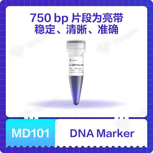 DL2000 Plus DNA Marker - 诺唯赞