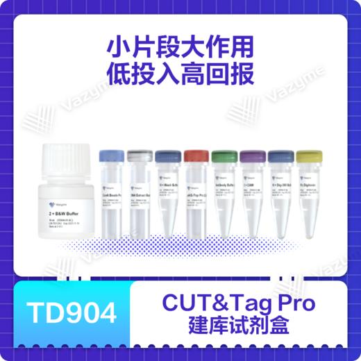 Hyperactive Universal CUT&Tag Assay Kit for Illumina Pro - 诺唯赞