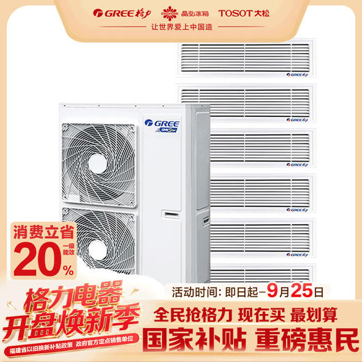 格力·颐居一拖五 中央空调 风管多联机 主机GMV-H160WL/Db1；配线控器；包安装 - 格力